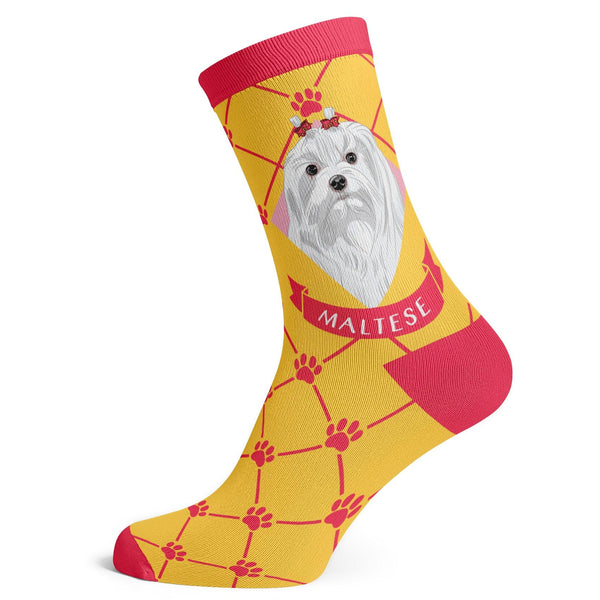 Maltese Socks - Cozy, Durable Novelty Socks for Dog Lovers | Perfect ...